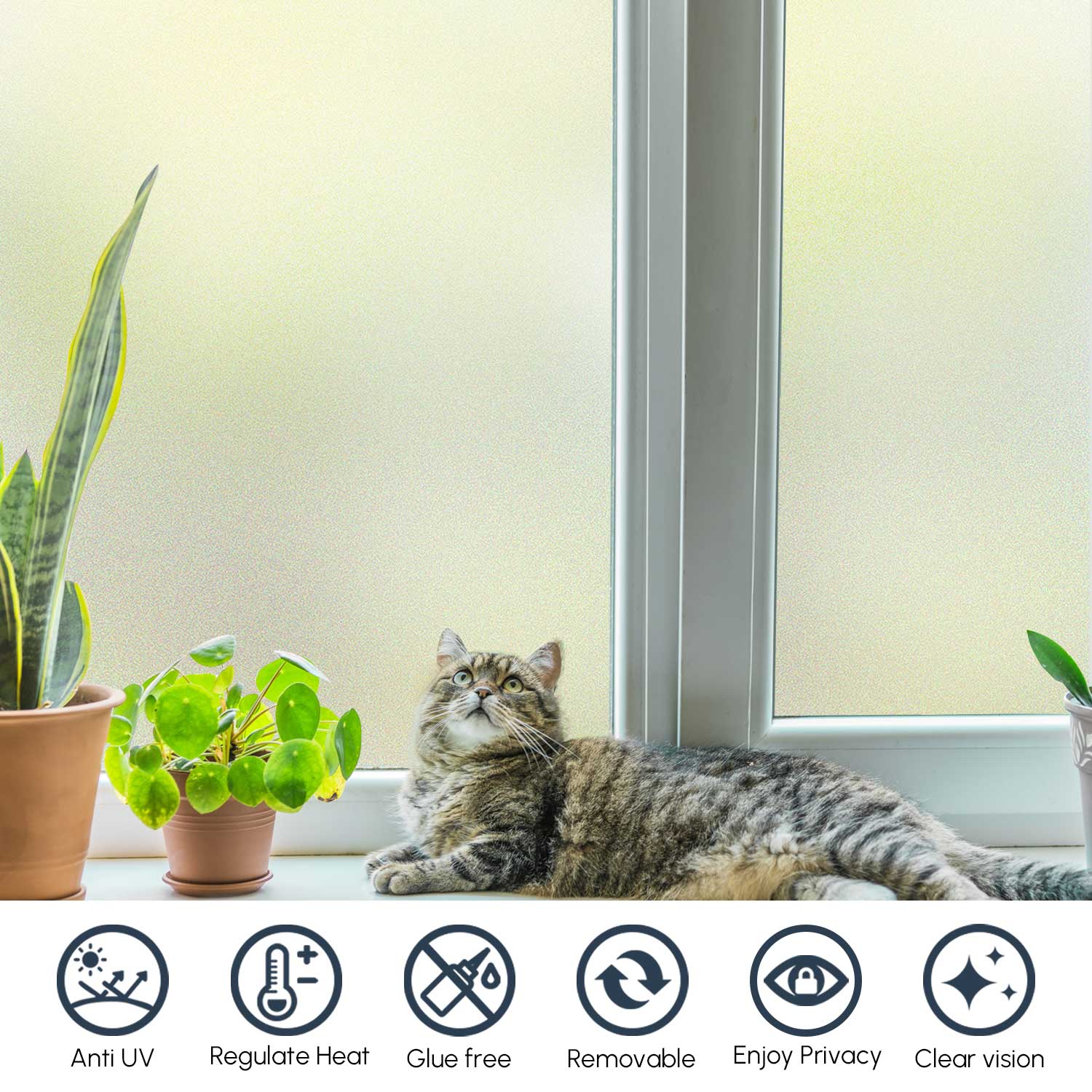 Frosted Privacy Window Film